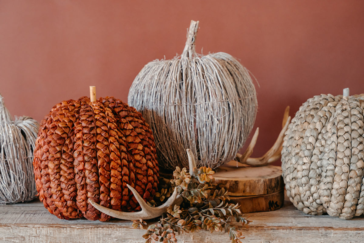 First Look: Fall Collections – Rolling Greens