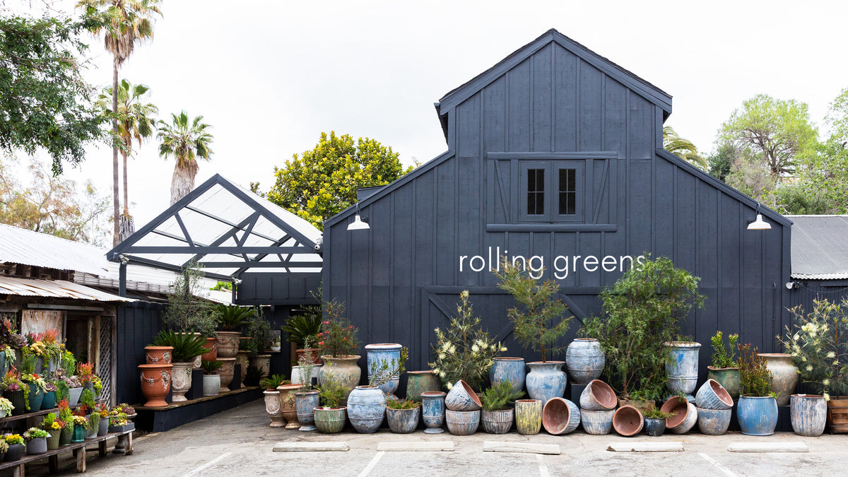 Retail Stores – Rolling Greens