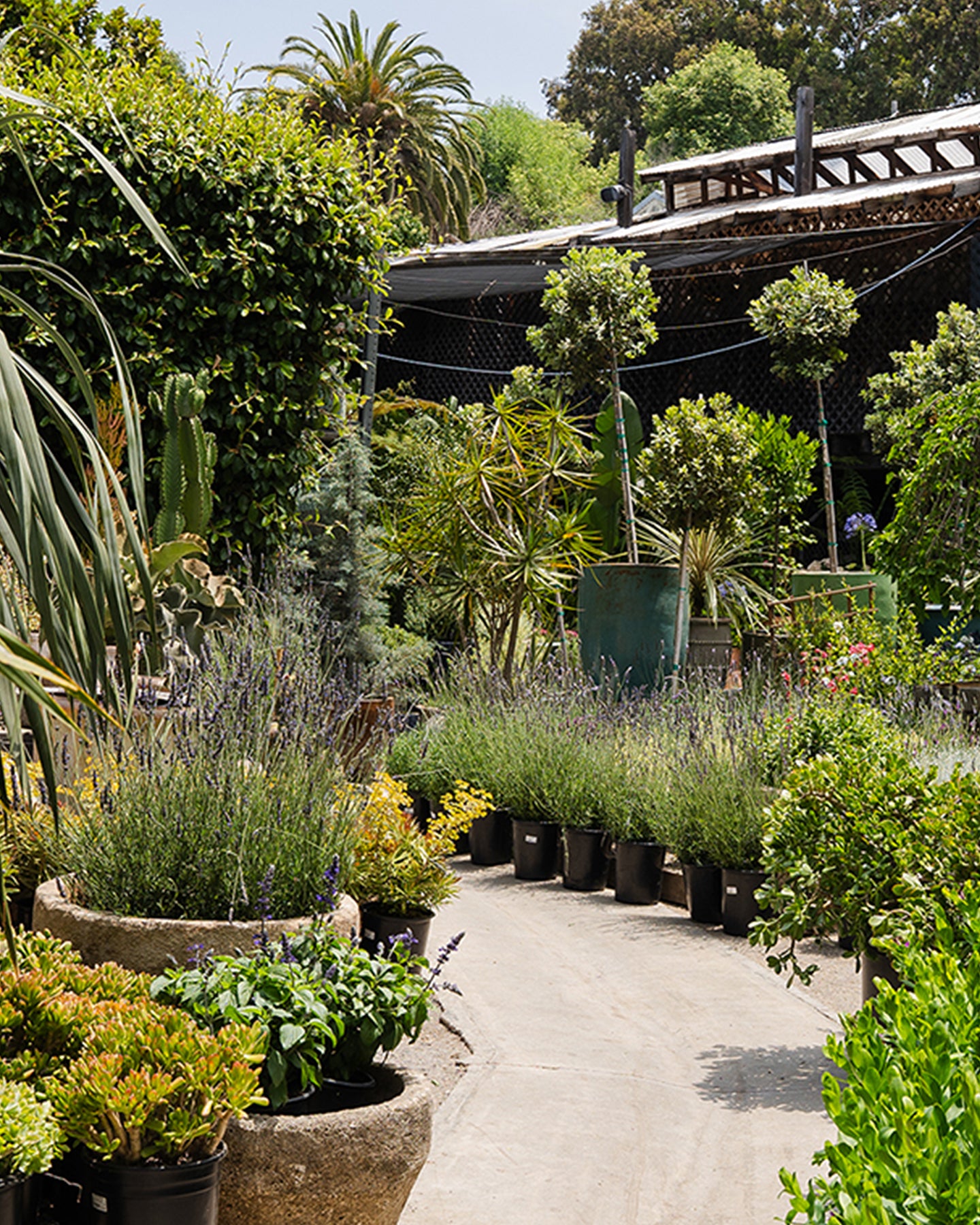 Rolling Greens – Rolling Greens