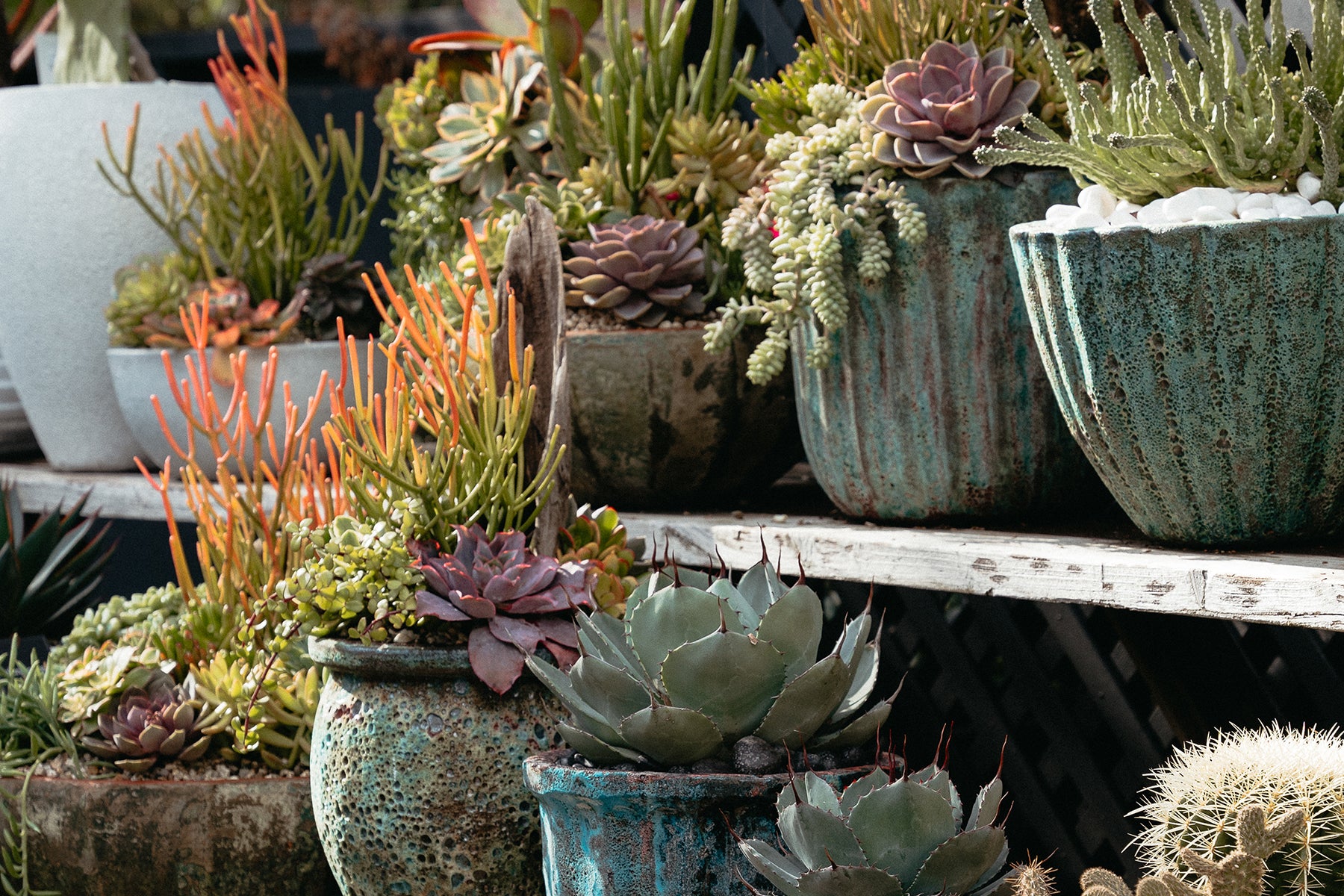 Culver City – Rolling Greens