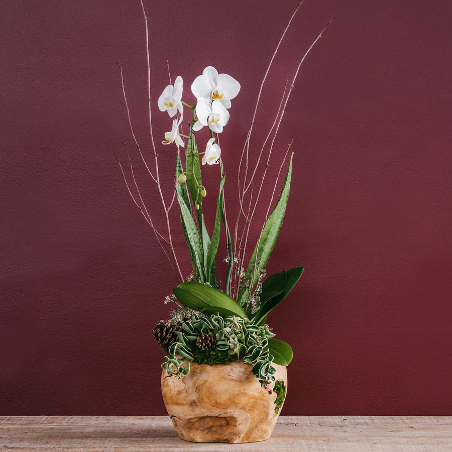 Rolling Greens – Rolling Greens