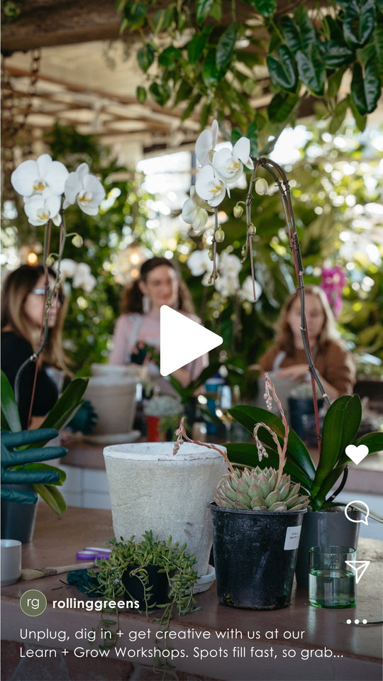 Learn + Grow Workshops – Rolling Greens