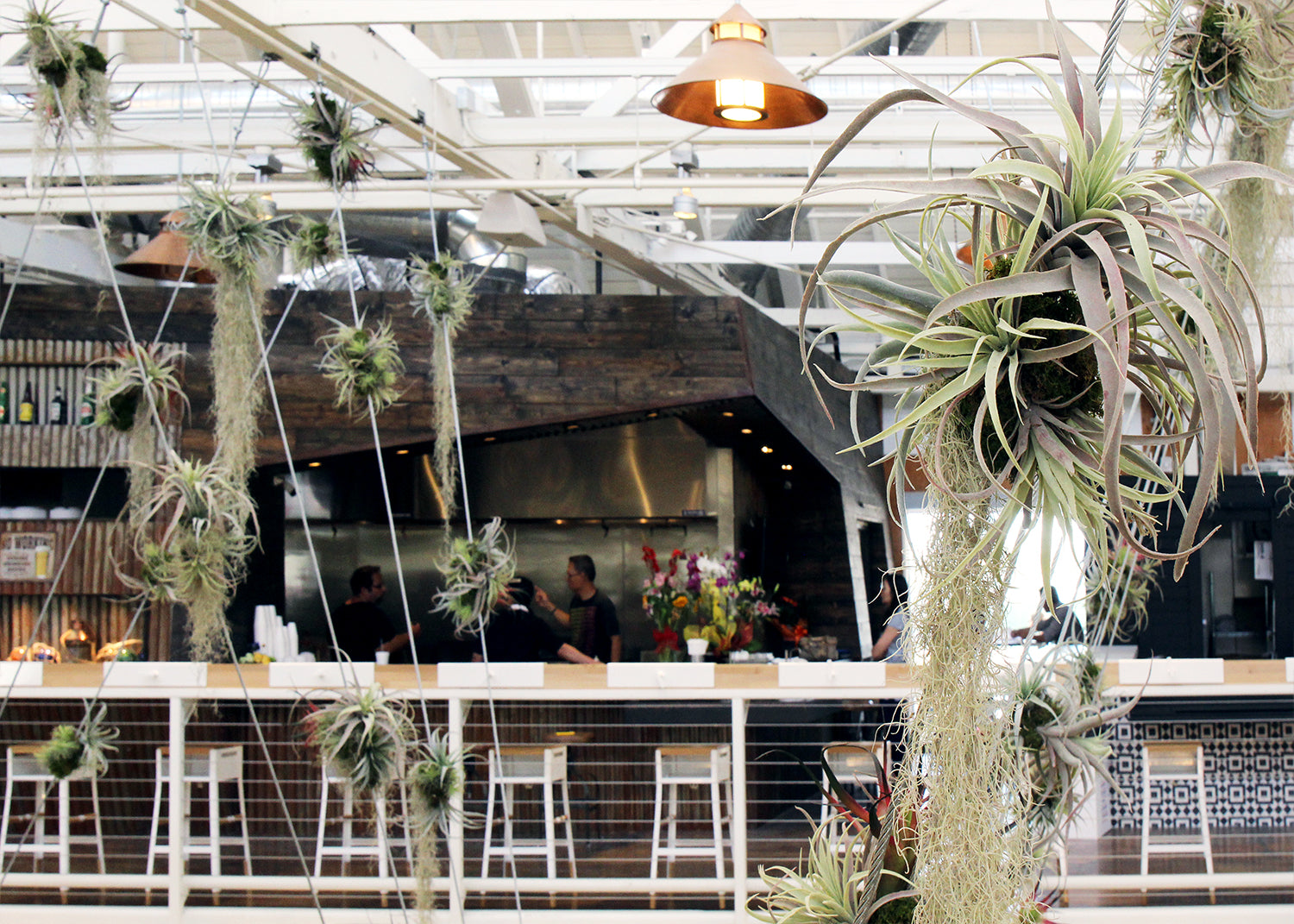 Anaheim Packing District#N#– Rolling Greens