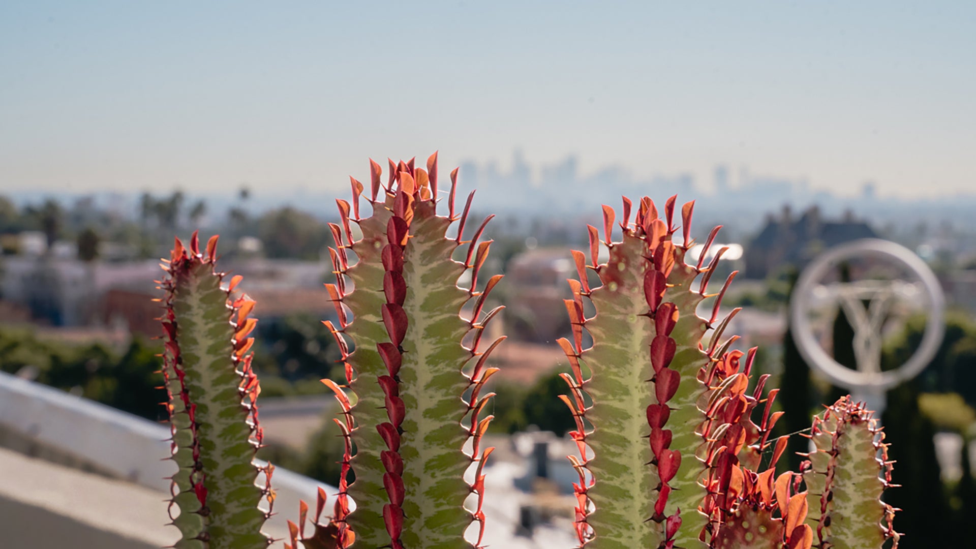 Rolling Greens – Rolling Greens