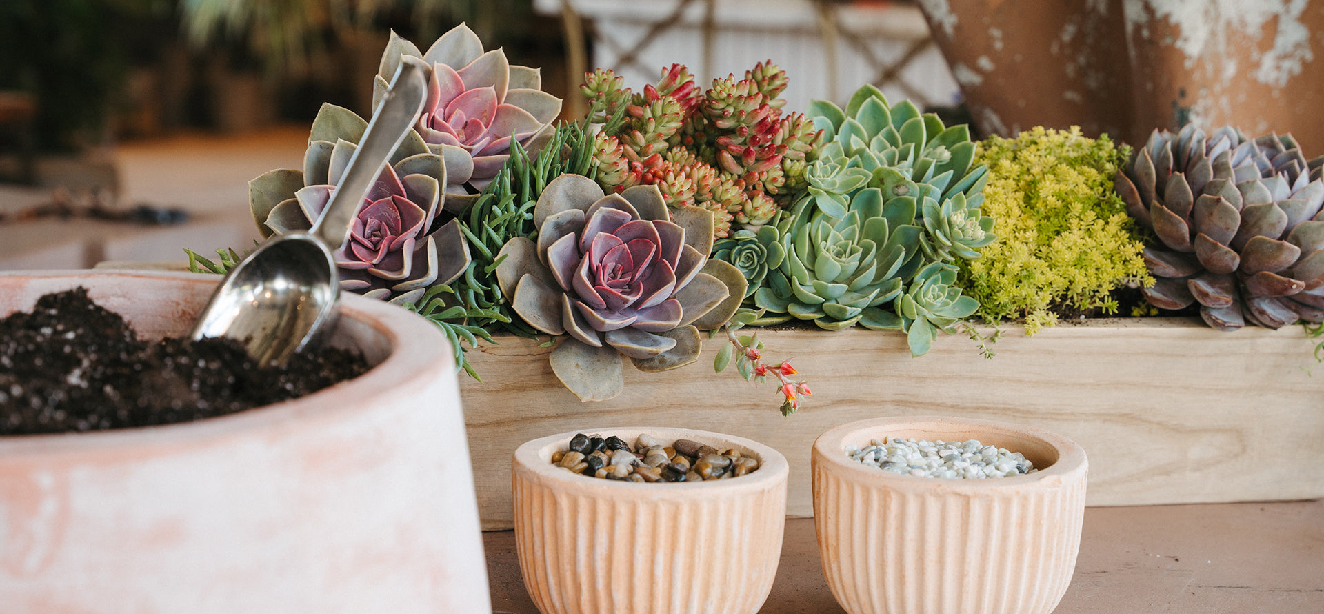 Learn + Grow Workshops – Rolling Greens