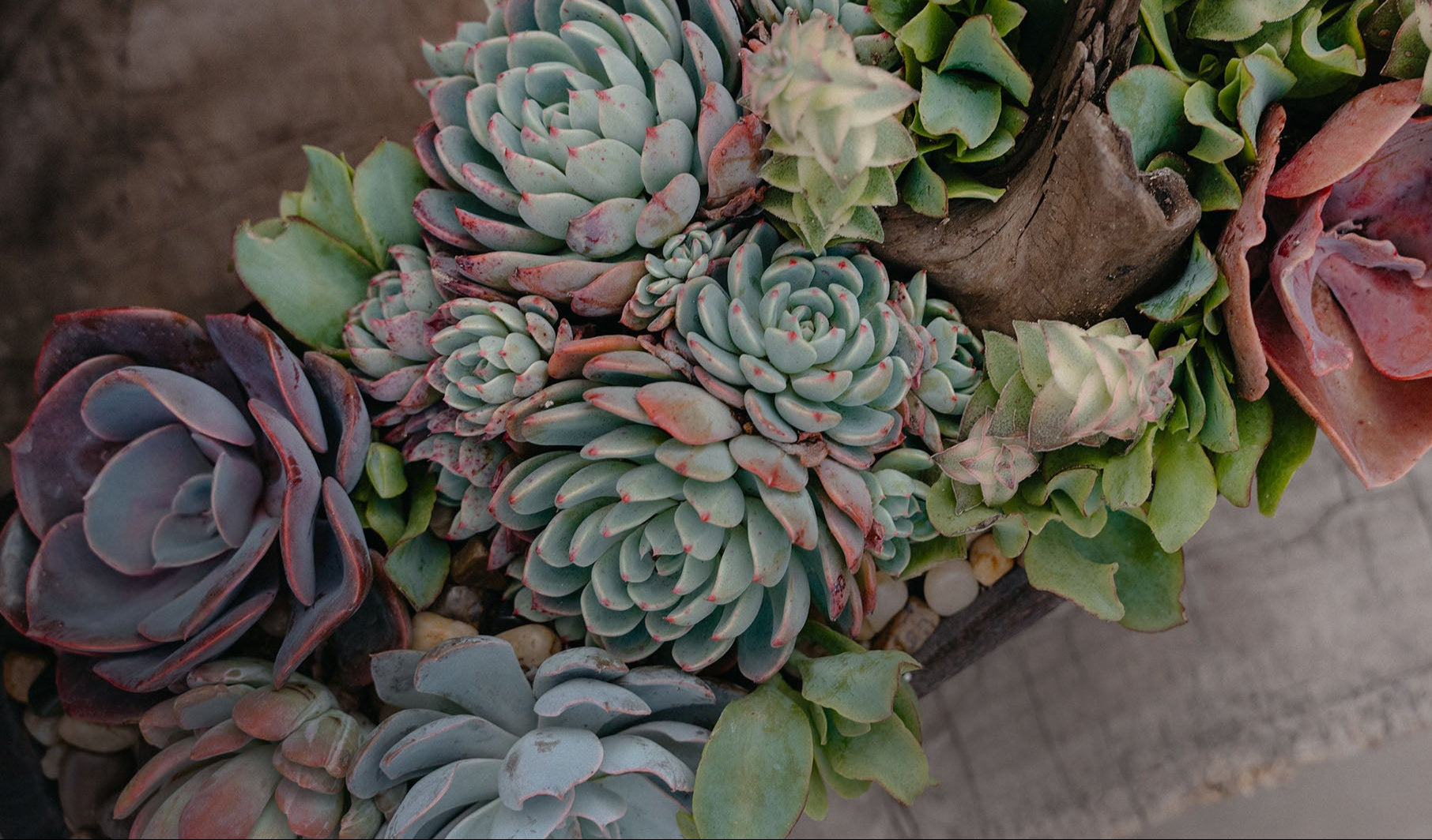 Rolling Greens – Rolling Greens